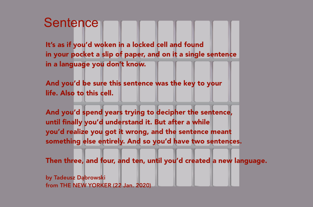 NPM 2020 06 | Tadeusz Dąbrowski | Sentence – Muddy Bank